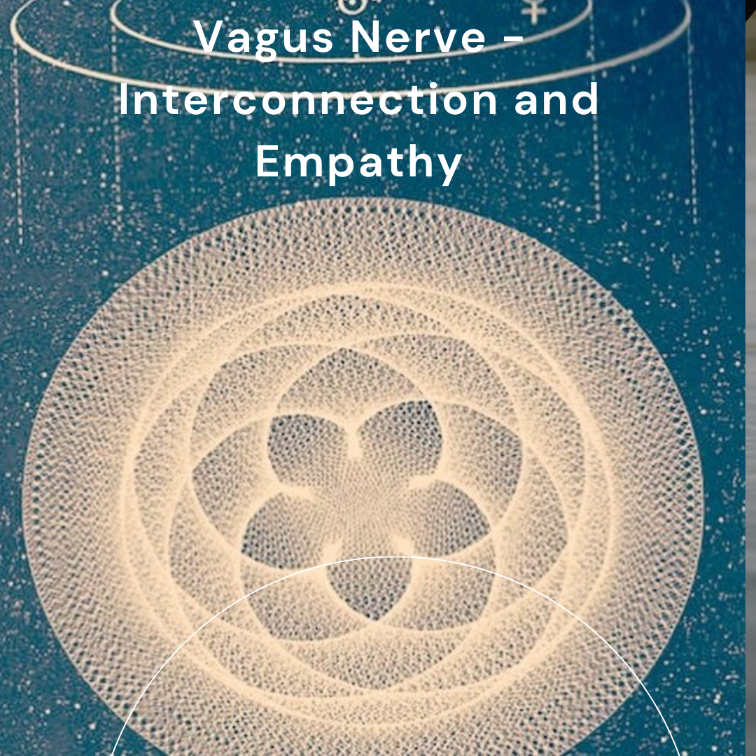 Finding Connection - Vagus Nerve and Empathy - BE EMBODIED